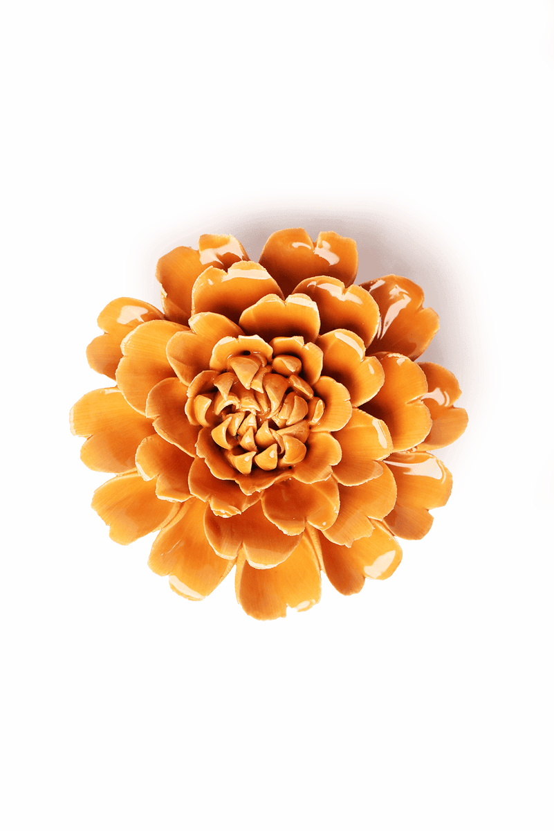 October Birth Flower - Marigold – Chive UK