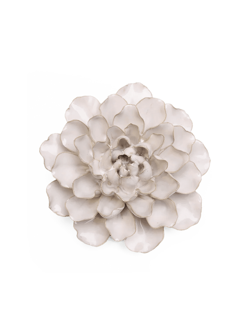 Ivory European Water Lily – Chive UK