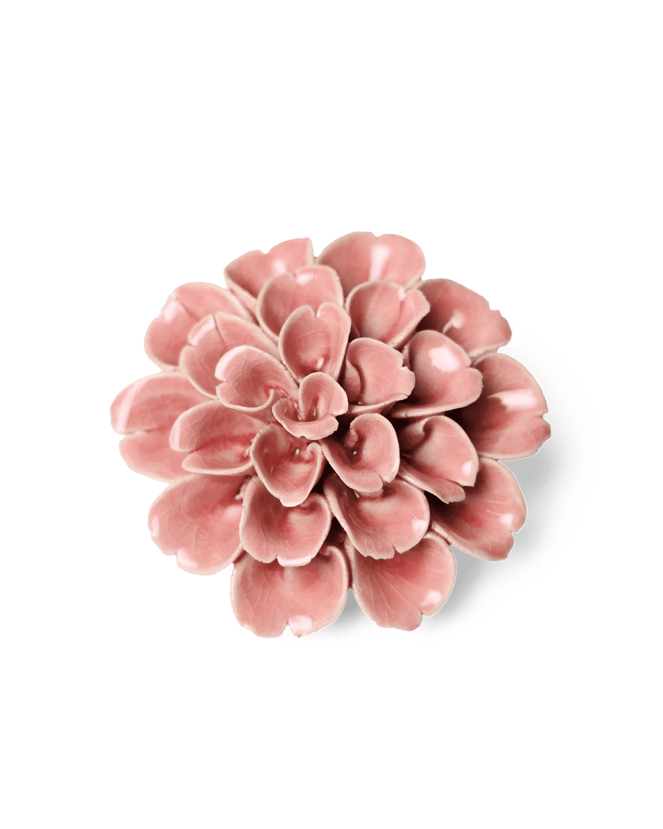 Champagne Pink Hydrangea – Chive UK