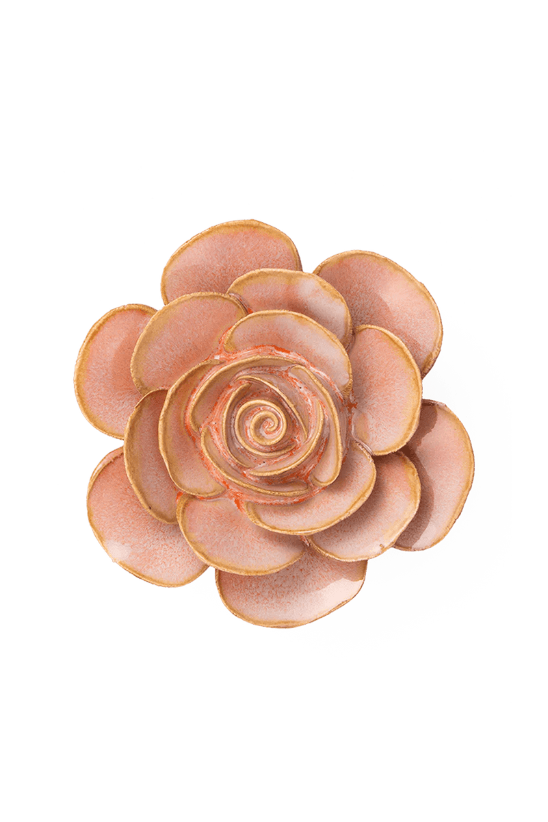 Peach Pink Cloni Ranunculus – Chive UK