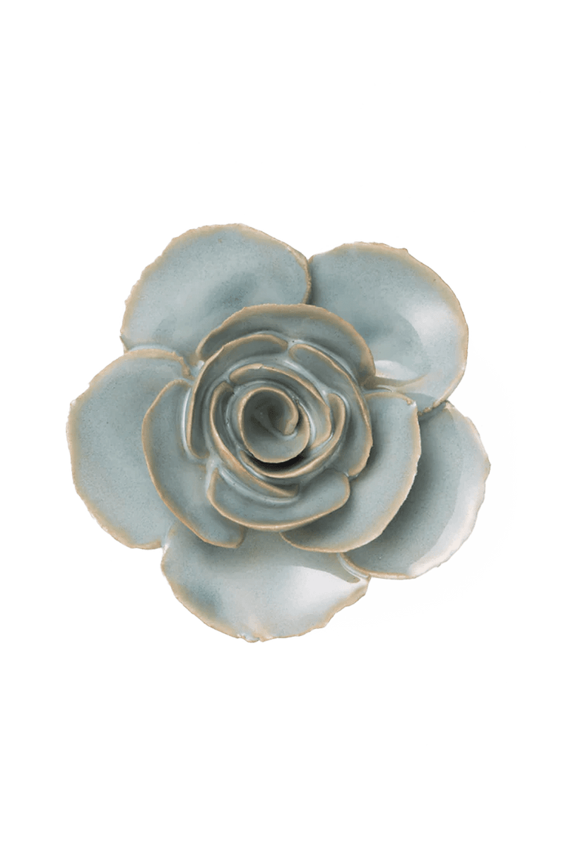 Milk Teal Elegance Ranunculus – Chive UK