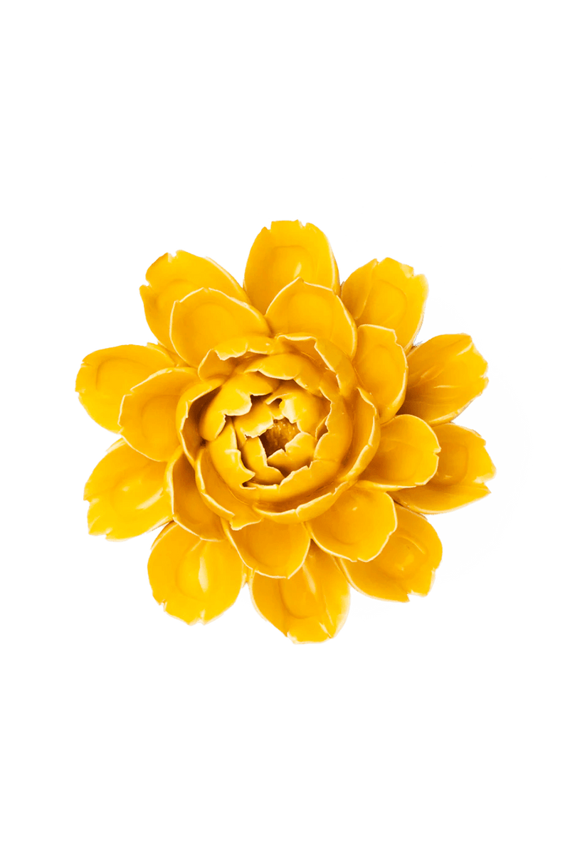 Burnt Yellow Empire Cabbage Flower – Chive UK