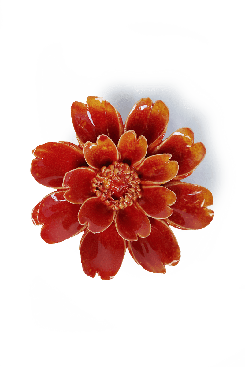 April Birth Flower - Daisy – Chive UK