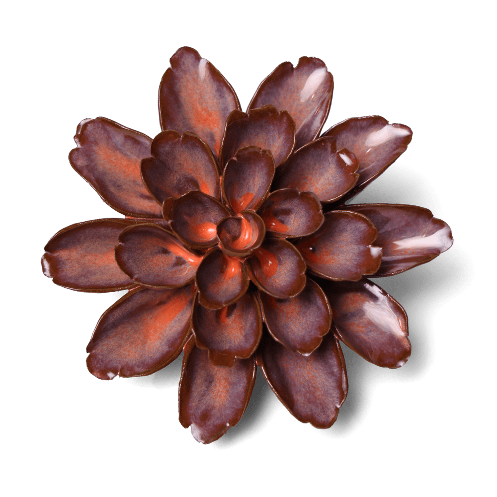 Japan Ceramic Flower Rust Daisy – Chive UK